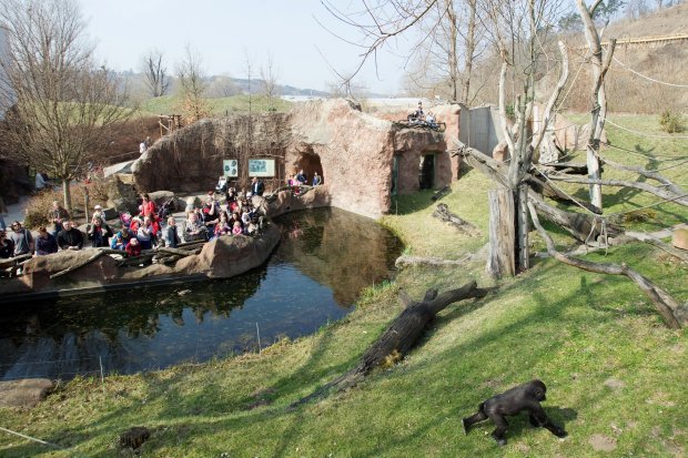 Zoo de Praga | Avantgarde Prague